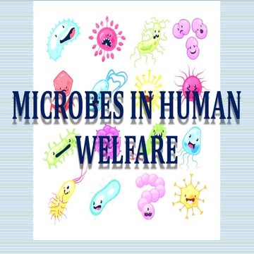 Microbes in Human Welfare PPT Class - 12 | PPTX
