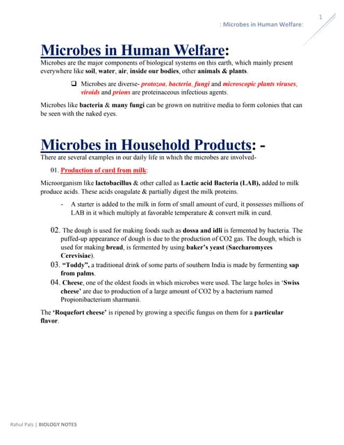Microbes in Human Welfare PPT Class - 12 | PPTX