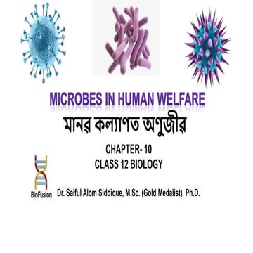 MICROBES IN HUMAN WELFARE -CLASS 12 BIOLOGY.pptx