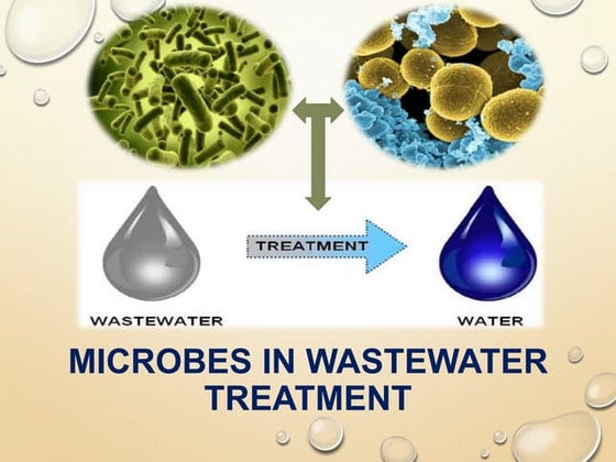 microbial degradation in waste management | PPT