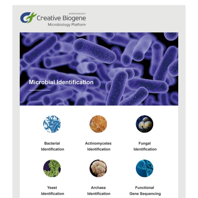 microbial identification | PDF