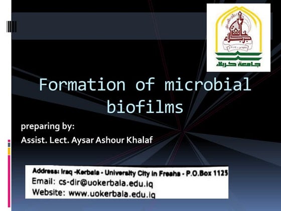 URBAS ASHIQ presentation on bacterial biofilms | PPT