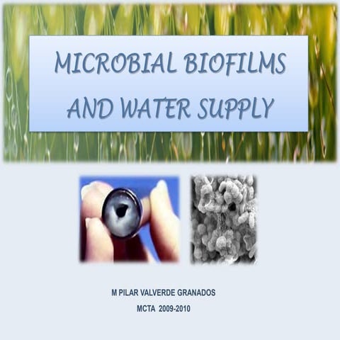 Microbial biofilms pilar valverde | PPTX