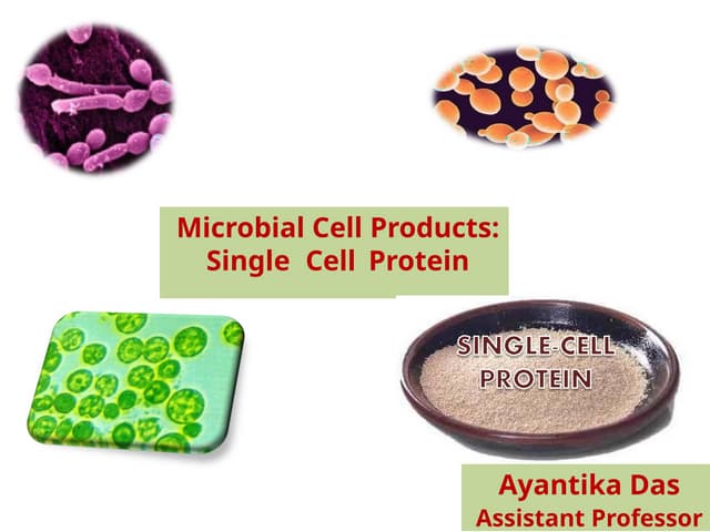 Single cell protein | PPTX | Chemistry | Science