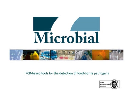 Enterobacteriaceae , Enterobacter and their Biochemical Test | DOCX