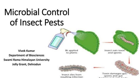 Lec. 15. Pests - Definition - Categories, Causes for outbreak of pests ...