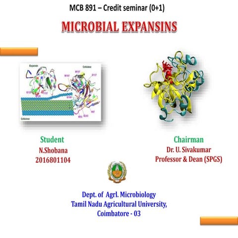 Evolution in bacteria by the use of antibiotic | PPTX