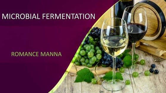 Introduction to fermentation process | PPTX | Biotech and Biomedical Industry | Industries