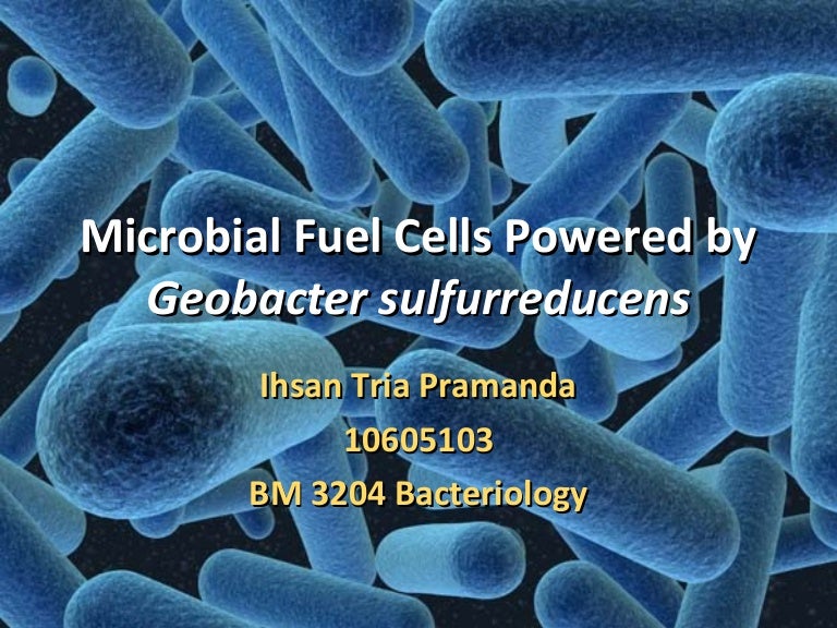 Microbial fuel cell