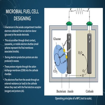 Microbial fuel cell | PPTX