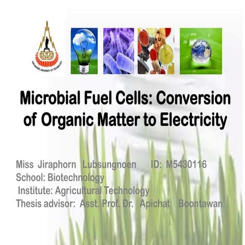 Microbial fuel cells | PPT