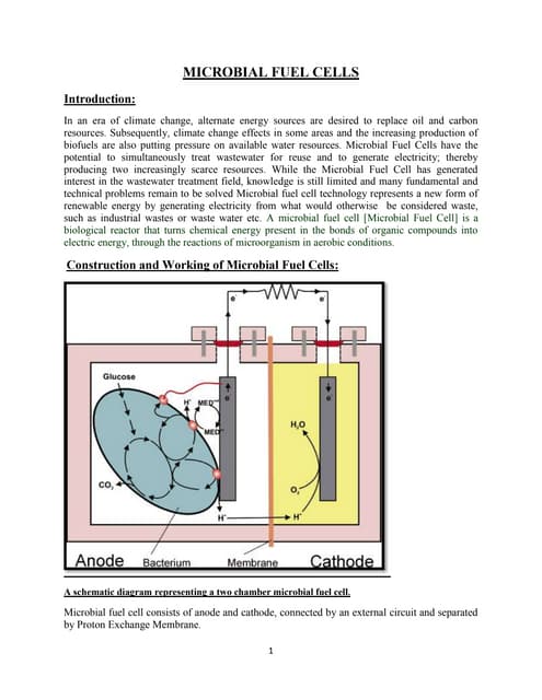MICROBIAL FUEL CELLS-PPT | PPTX