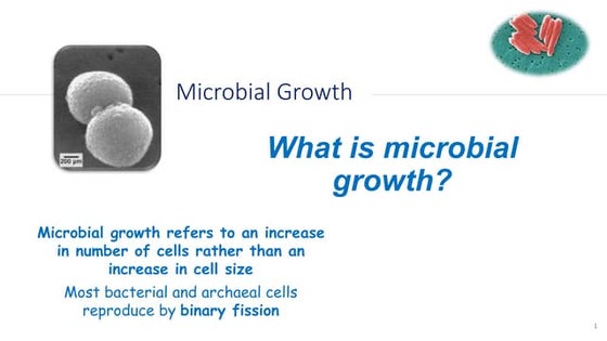 Bacterial growth curves | PPTX