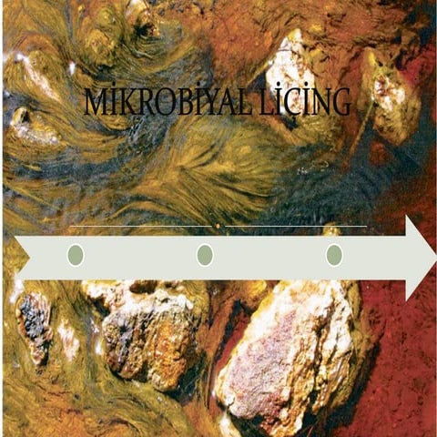 Microbial leaching | PPTX