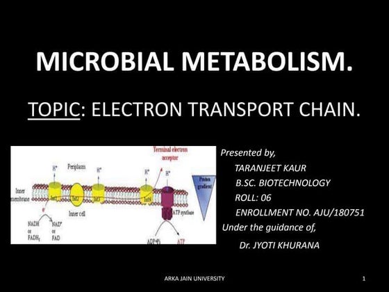 ELECTRON TRANSPORT CHAIN OF BACTERIA.pptx