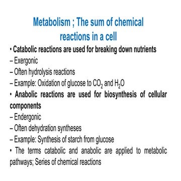 Microbial metabolism.pptx