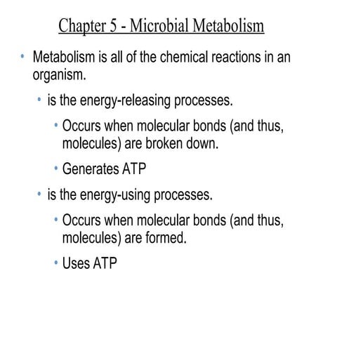 Microbial metabolism: pathways, enzymes, energy. | PPT