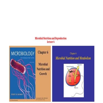Microbial Nutrition-lecture 4.pp dghfdggfffhjgcfrgfrgvvvvvvggghtddchgbhg | PPT