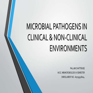 Microbial Pathogens in Non-Clinical Environments (NCE) | PPTX ...