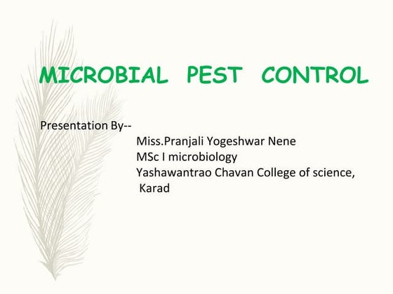 Bio-insecticides | PPTX
