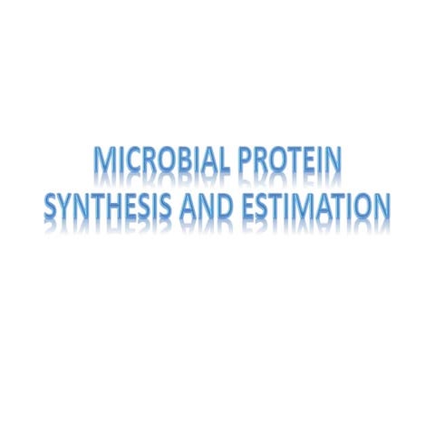 Microbial protein synthesis and its estimation in ruminants | PPTX