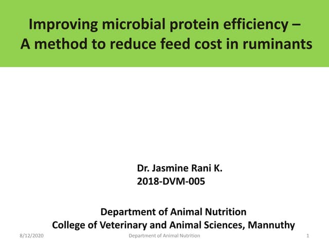 Non Protein Nutrogen Utilization in Ruminant | PPTX