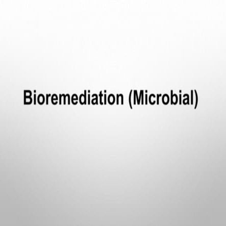 Bioremediation -Bioaugmentation and types .pptx