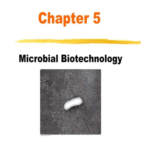 microbial tech.ppt
