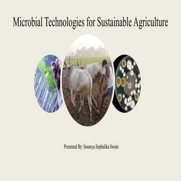 Microbial technologies Agriculture.pptx