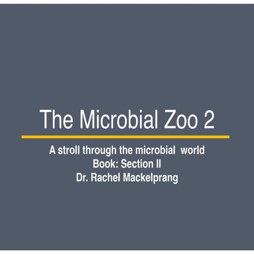 Microbial Diversity Part 8: A Stroll Through the Microbial Zoo (pt2) | PDF