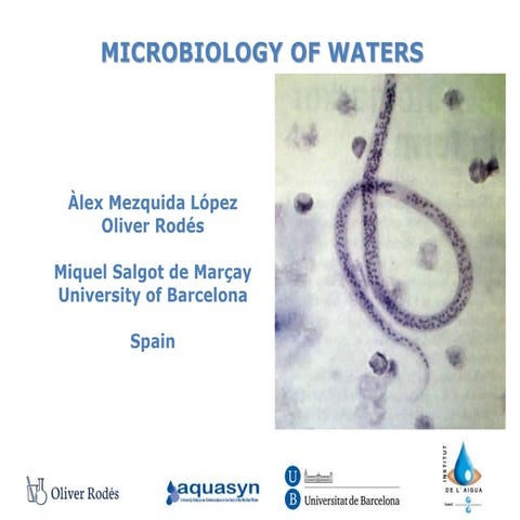 Microbiology of Waters | PPTX | Science
