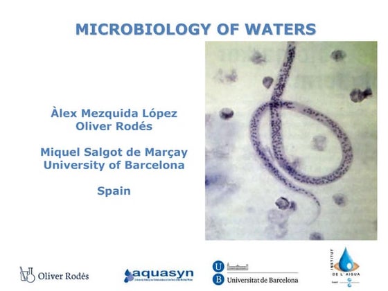 Water microbiology | PPT | Chemistry | Science