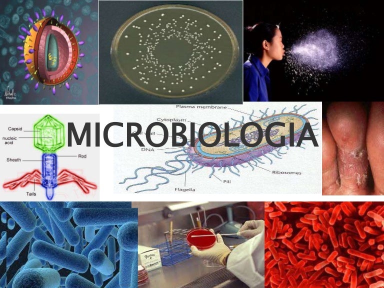 Microbiologia aula