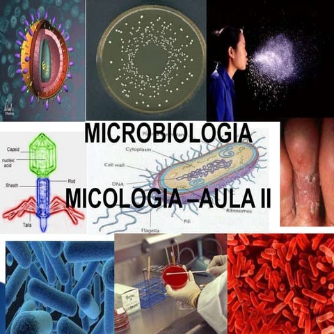 Microbiologia-Micologia Aula 2.pptx