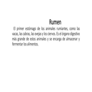 Microbiologia del Rumen EN MEDICINA VETERINARIA | PPTX