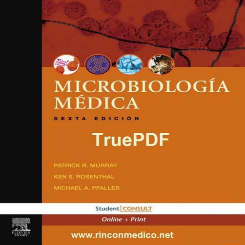 microbiologia_medica_murray_6a_rinconmedico.net.pdf