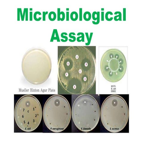 Microbiological assay | PPTX