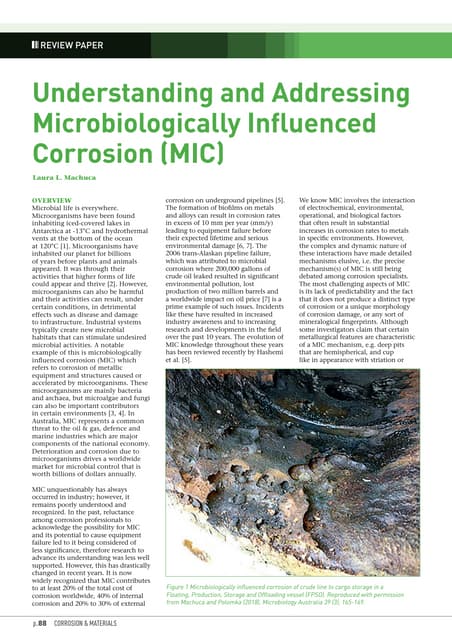 Microbially induced corrosion (1).pptx | Chemistry | Science