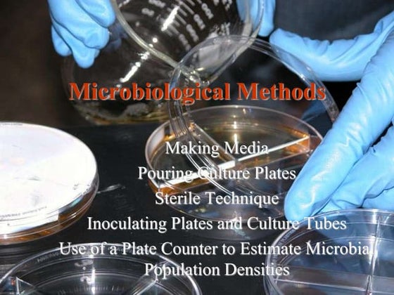Bacteria Growing Experiments in Petri Dishes.docx
