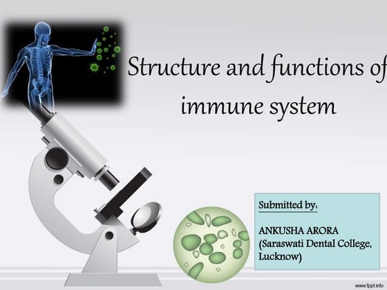 Stem cell and the immune system-Body system | PPT