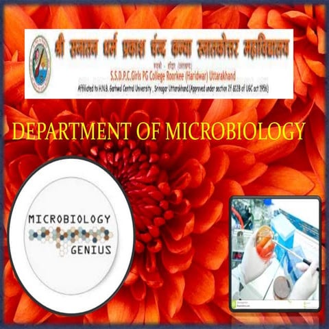 IMViC (Biochemical test) | PPTX