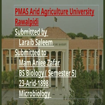 Reproduction In Bacteria Pptx