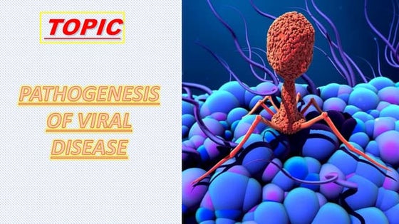 Pathophysiology of HIV AIDS | PPT