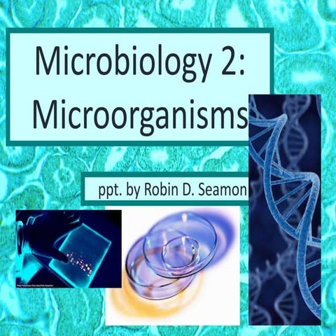 Microbiology: microorganisms & classification | PPTX