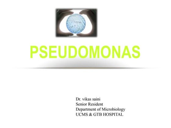 Pseudomonas aeruginosa original .pptx pptx | PPT