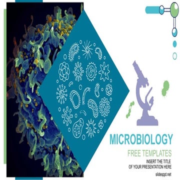 Microbiology-Templatesdsadsadasdasdsadddddddas.pptx