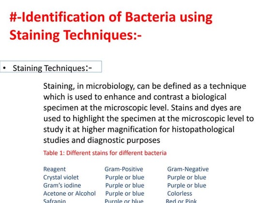 Bacterial staining methods | PPT