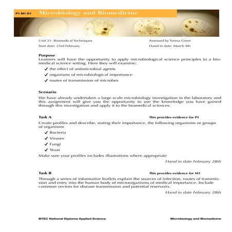 Microbiology And Biomedicine Assignment Pdf