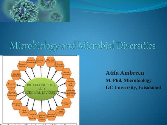 Introduction to Microbial Diversity | PPTX