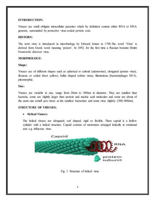 Advanced polymorphic techniques | PDF